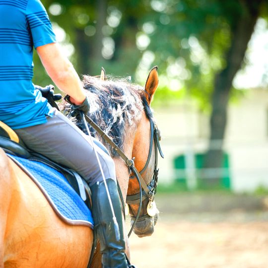 Speeding up Recovery from Horseback Riding Accident with HBOT - HBOT ...