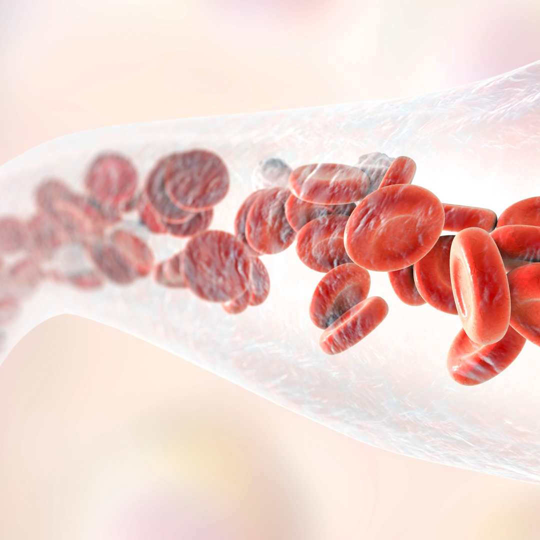 Metabolic effects of fasting on human and mouse blood in vivo - HBOT ...